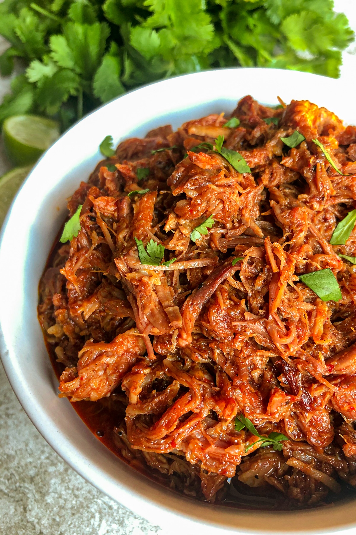 Cafe Rio Sweet Pork Recipe | Modernmealmakeover.com