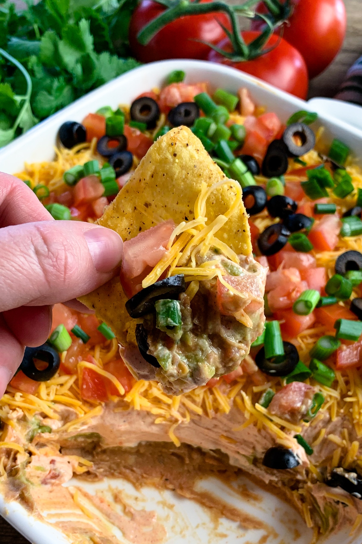 7 Layer Dip {Perfect Party Appetizer} Modernmealmakeover.com