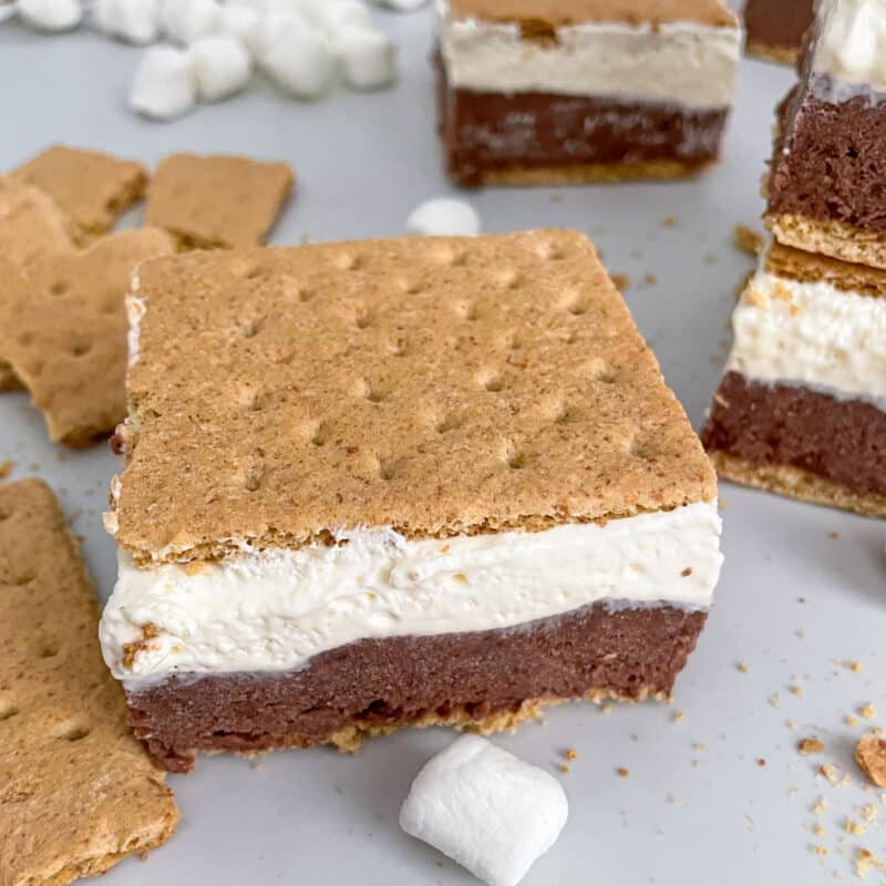 The Best Frozen S'mores Recipe | Modernmealmakeover.com